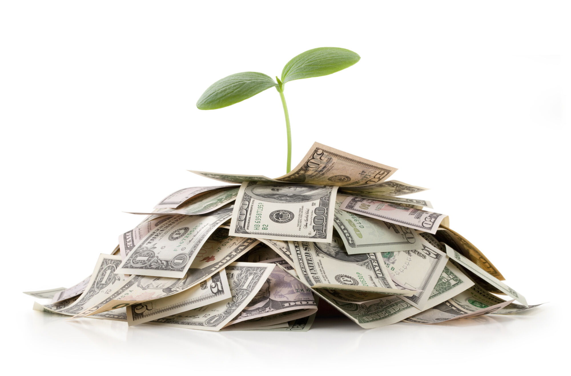 Seed investments surge in PE